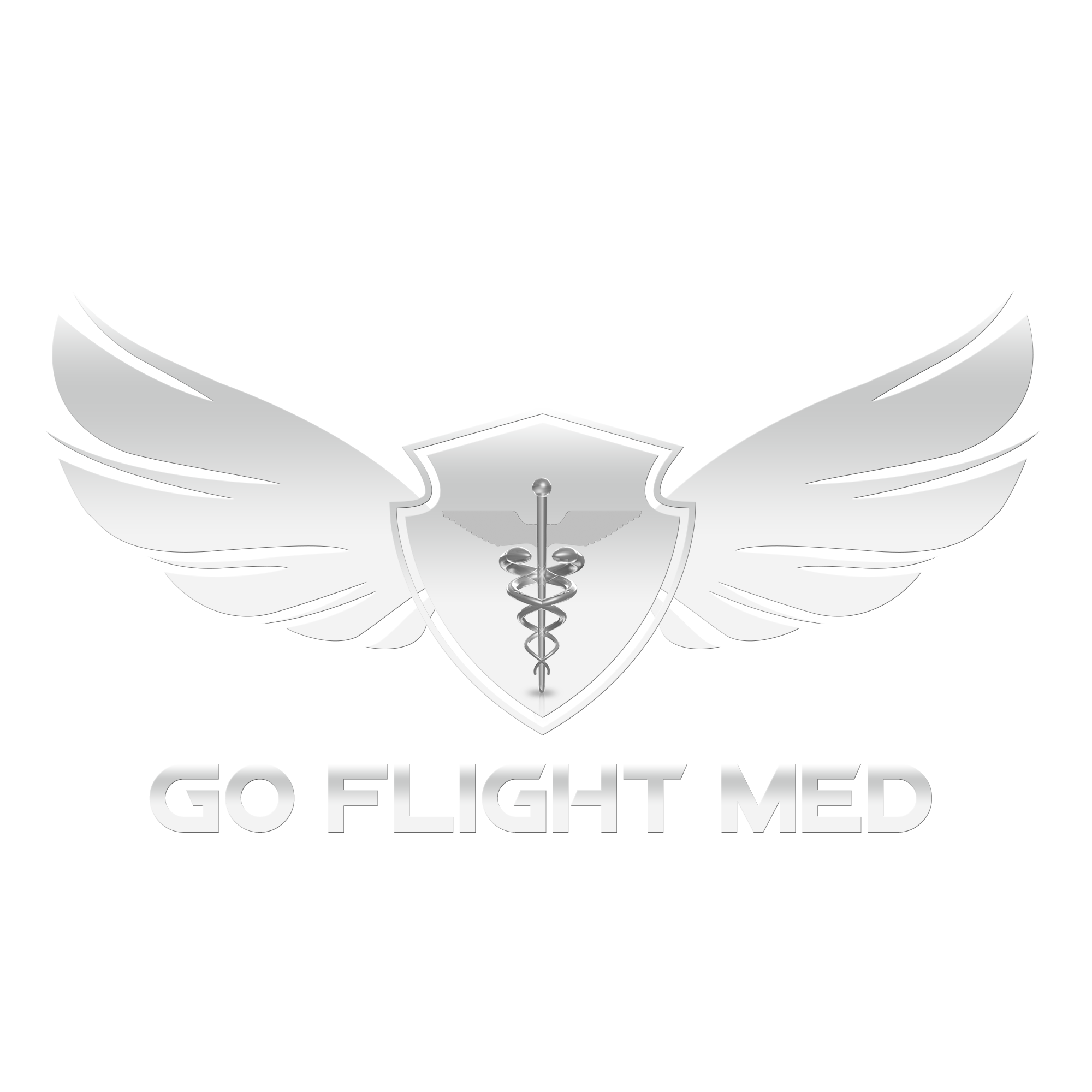 Go Flight Medicine | FAA Aviation Medical Examiner & Flight Medicine ...